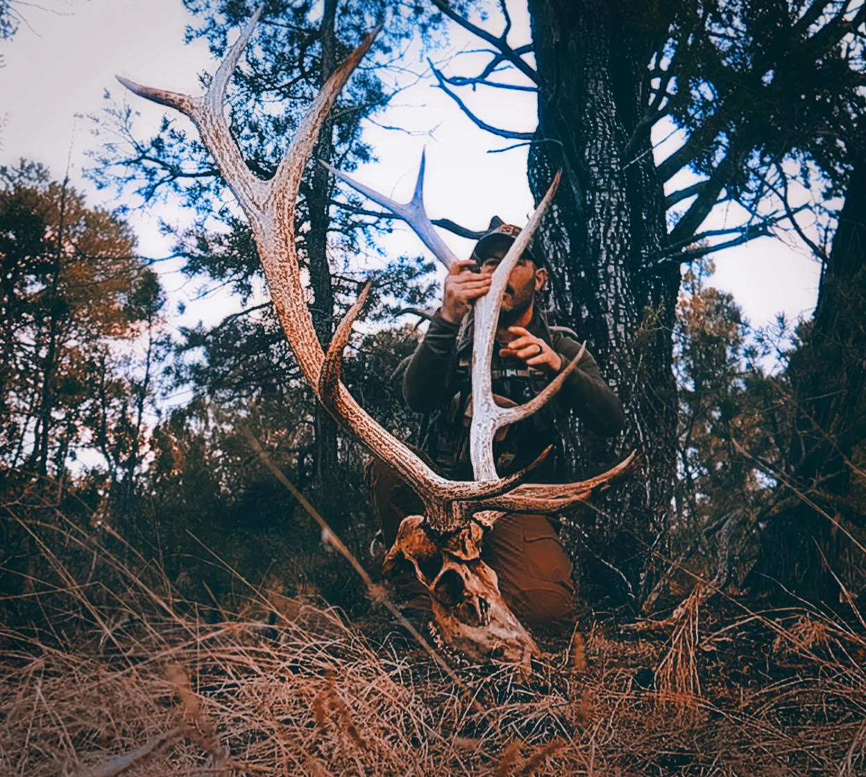 Ryan Law - Reckoning